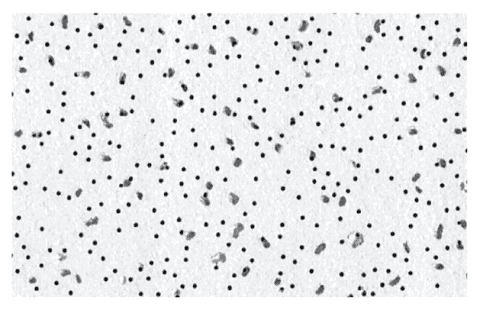 Fissured Ceiling Tile - Tika Interiors